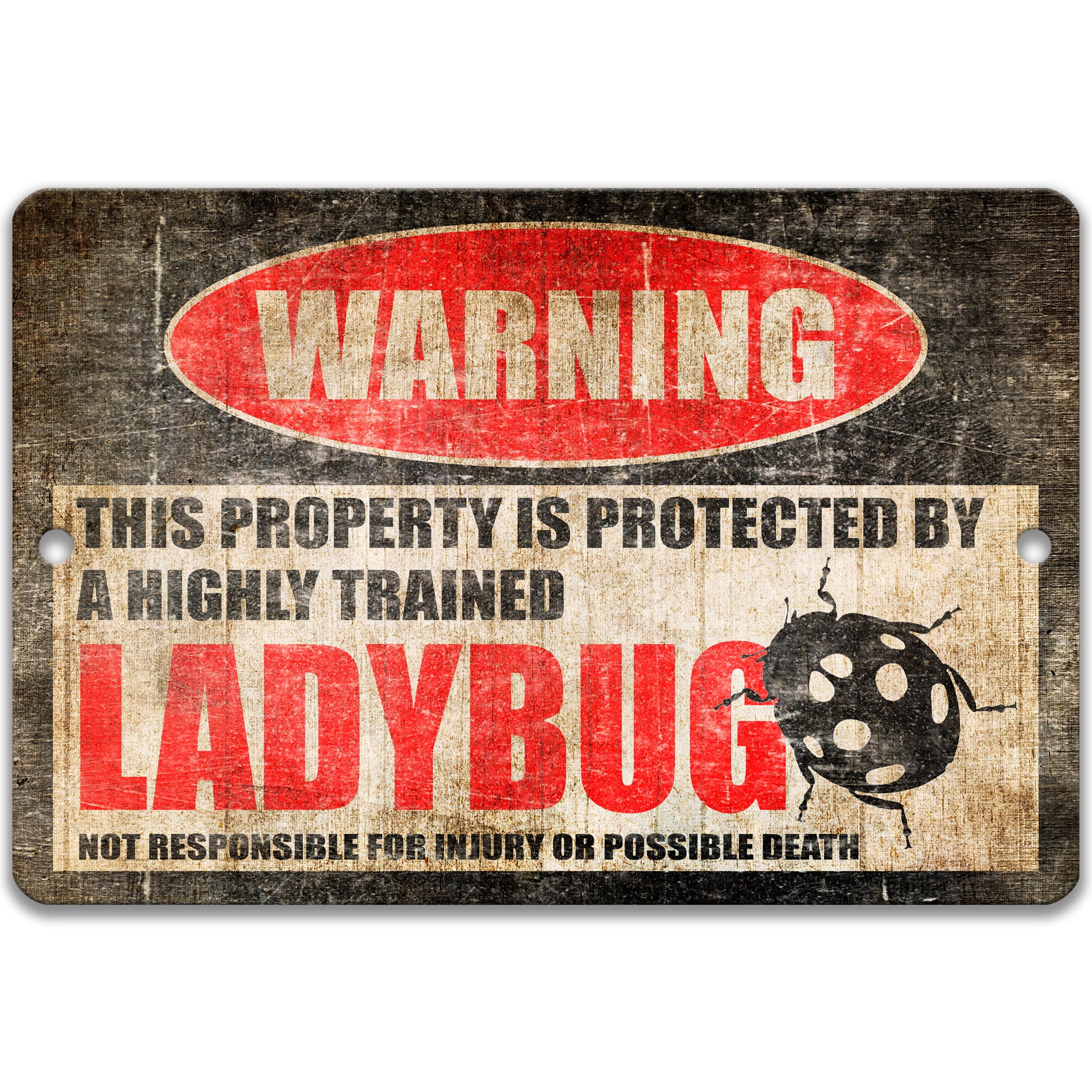 Funny Ladybug Warning Sign, Cottage Garden Decor, Outdoor Metal Sign - Etsy