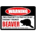 Funny Beaver Warning Sign, Beaver Decor, Campsite Sign Available in ...