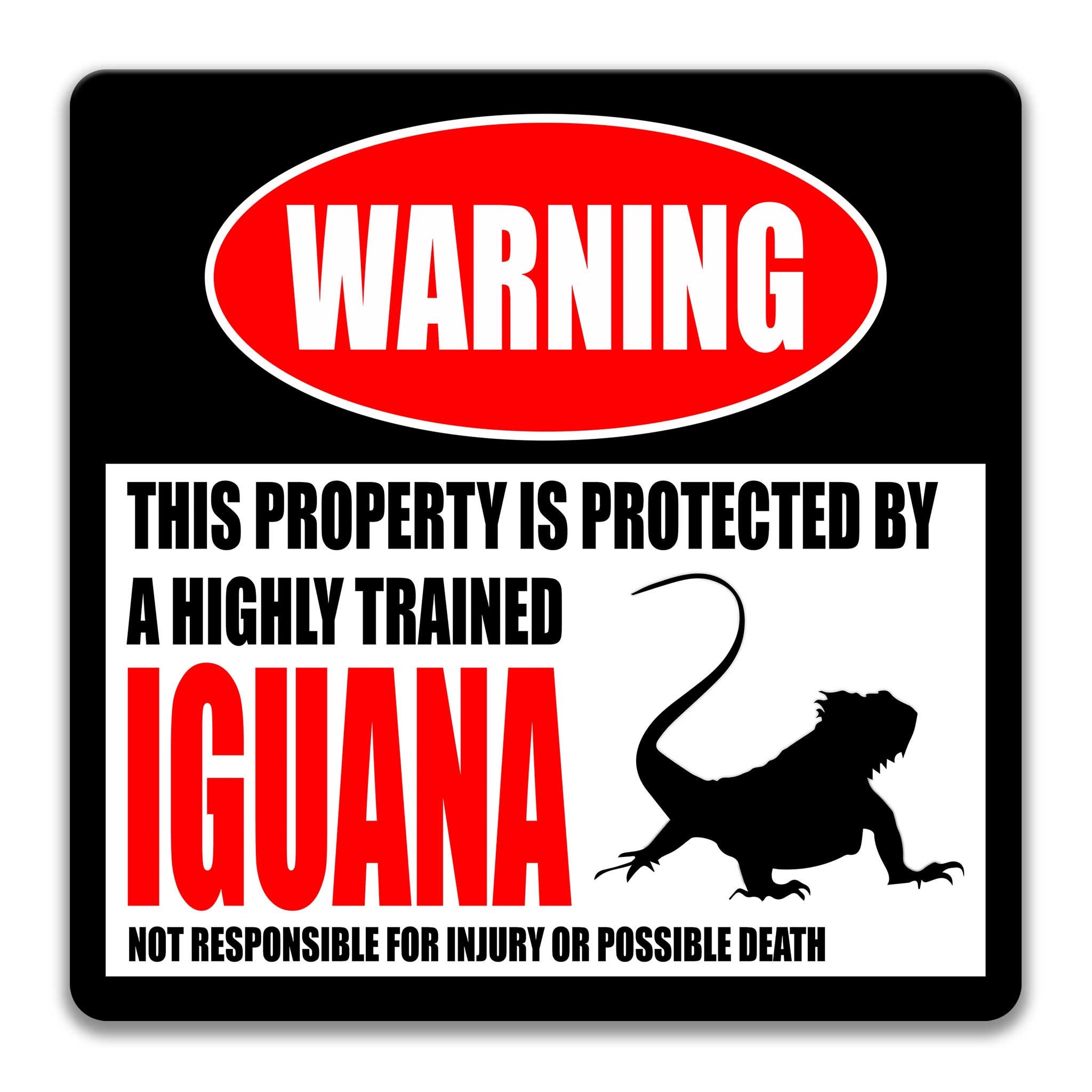 Iguana Sign Funny Iguana Warning Sign Iguana Accessories Metal - Etsy
