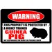 Guinea Pig Sign Funny Guinea Pig Decor Guinea Pig Accessories - Etsy