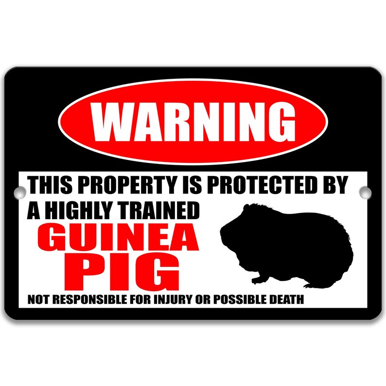 Guinea Pig Sign Funny Guinea Pig Decor Guinea Pig Accessories - Etsy