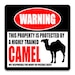 Camel Sign Camel Warning Sign Funny Camel Decor Sign Warning Sign Camel ...