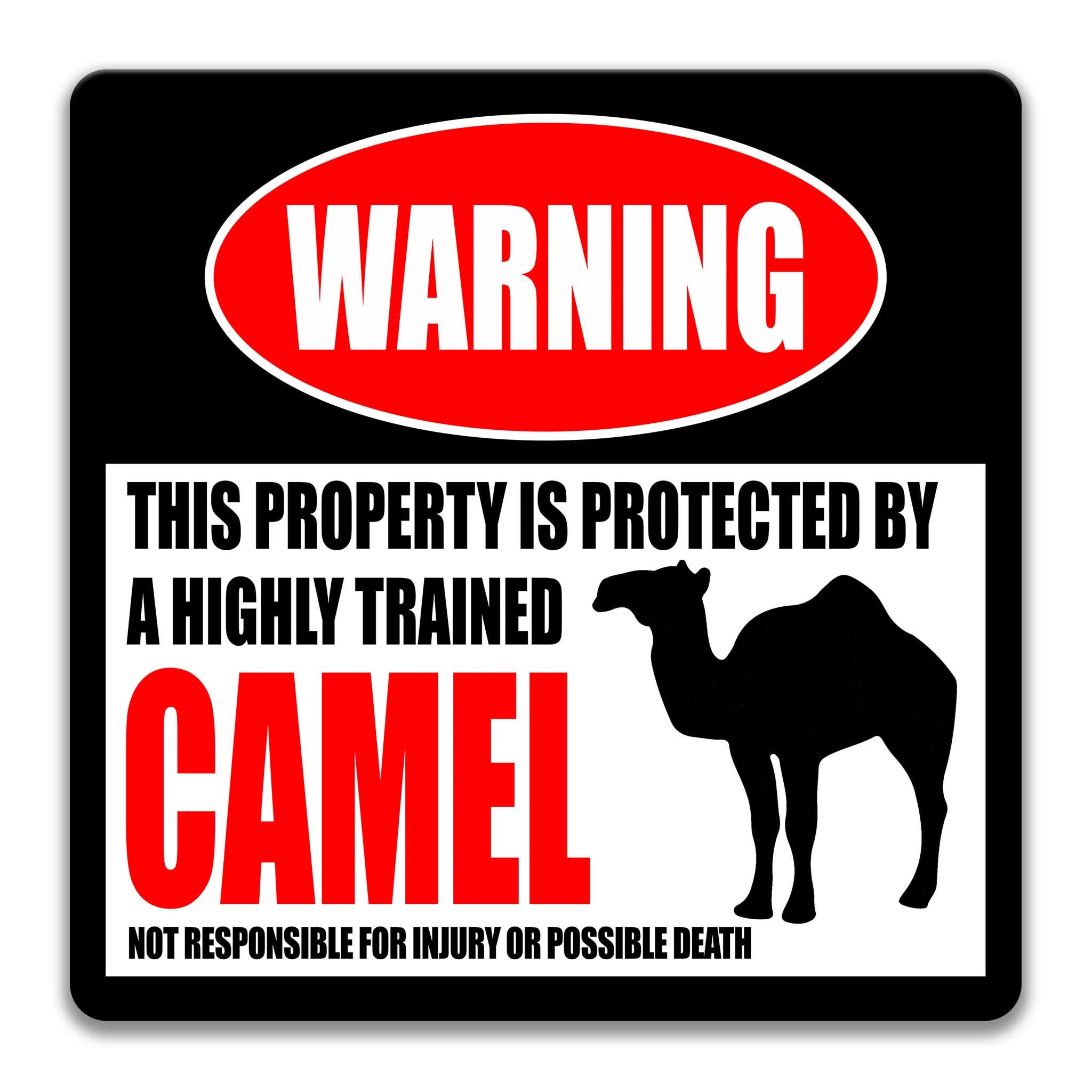 Camel Sign Camel Warning Sign Funny Camel Decor Sign Warning | Etsy