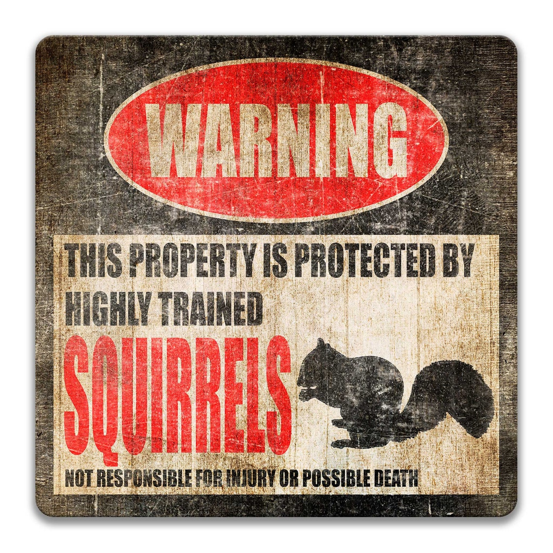 Funny Squirrel Sign Protected by Squirrels Animal Decor Pet - Etsy