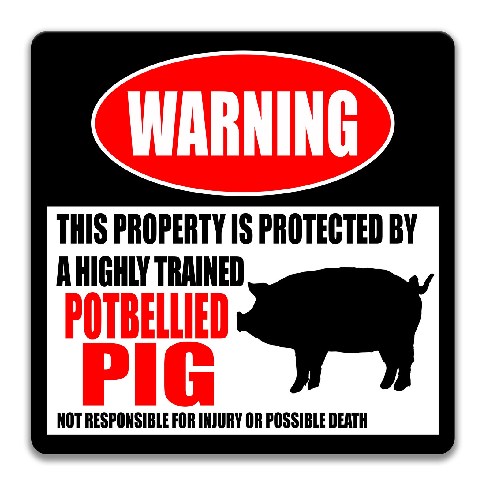 Potbellied Pig Sign Funny Metal Sign Pig Warning Sign Barn - Etsy
