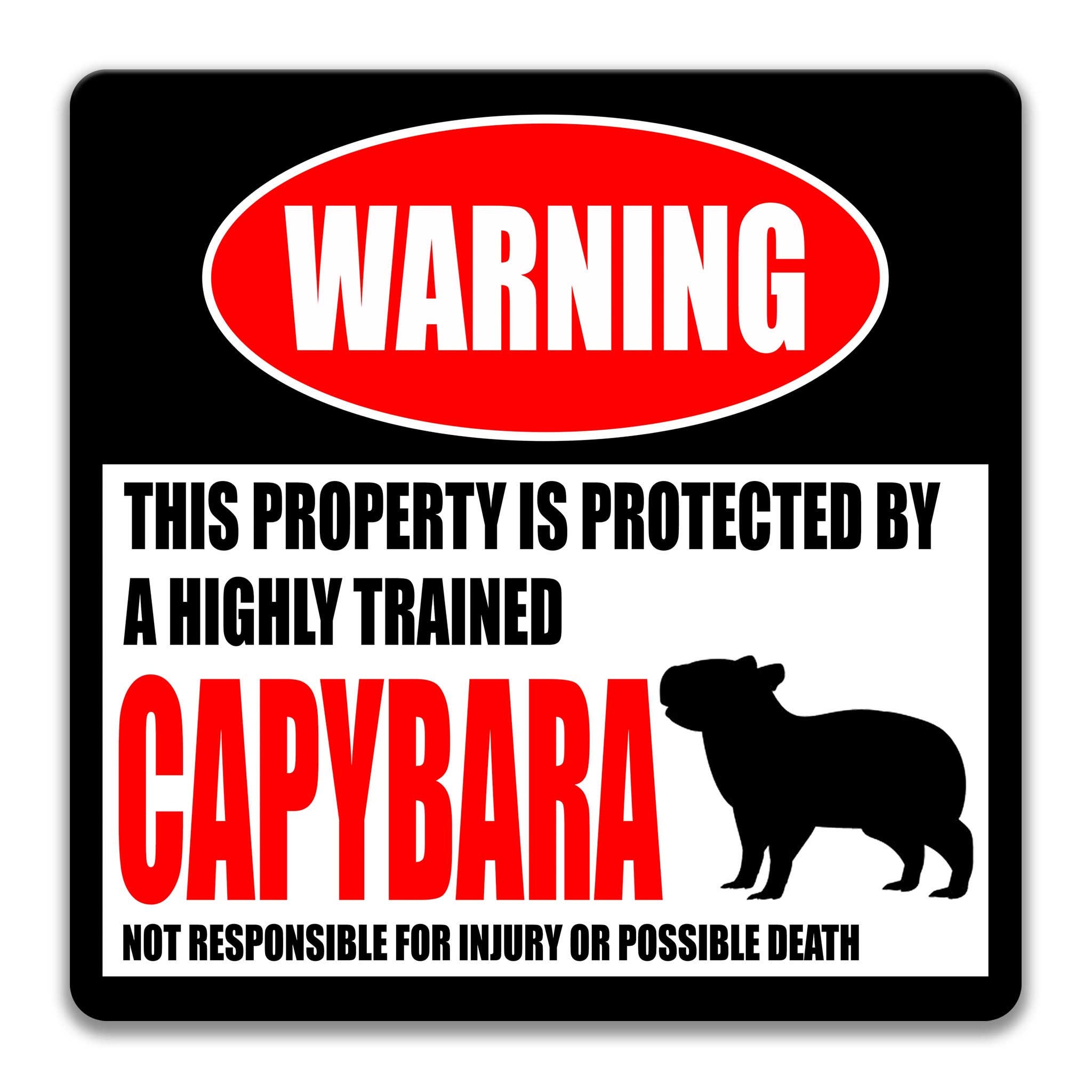 Capybara Sign Capybara Warning Sign Rodent Sign Capybara - Etsy UK