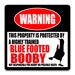 Funny Blue Footed Booby Warning Sign, Booby Decor, Blue Footed Booby ...
