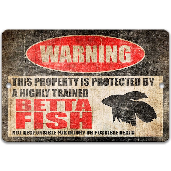 Betta Fish Sign Aquarium Sign Aquarium Fresh Water Tank | Etsy