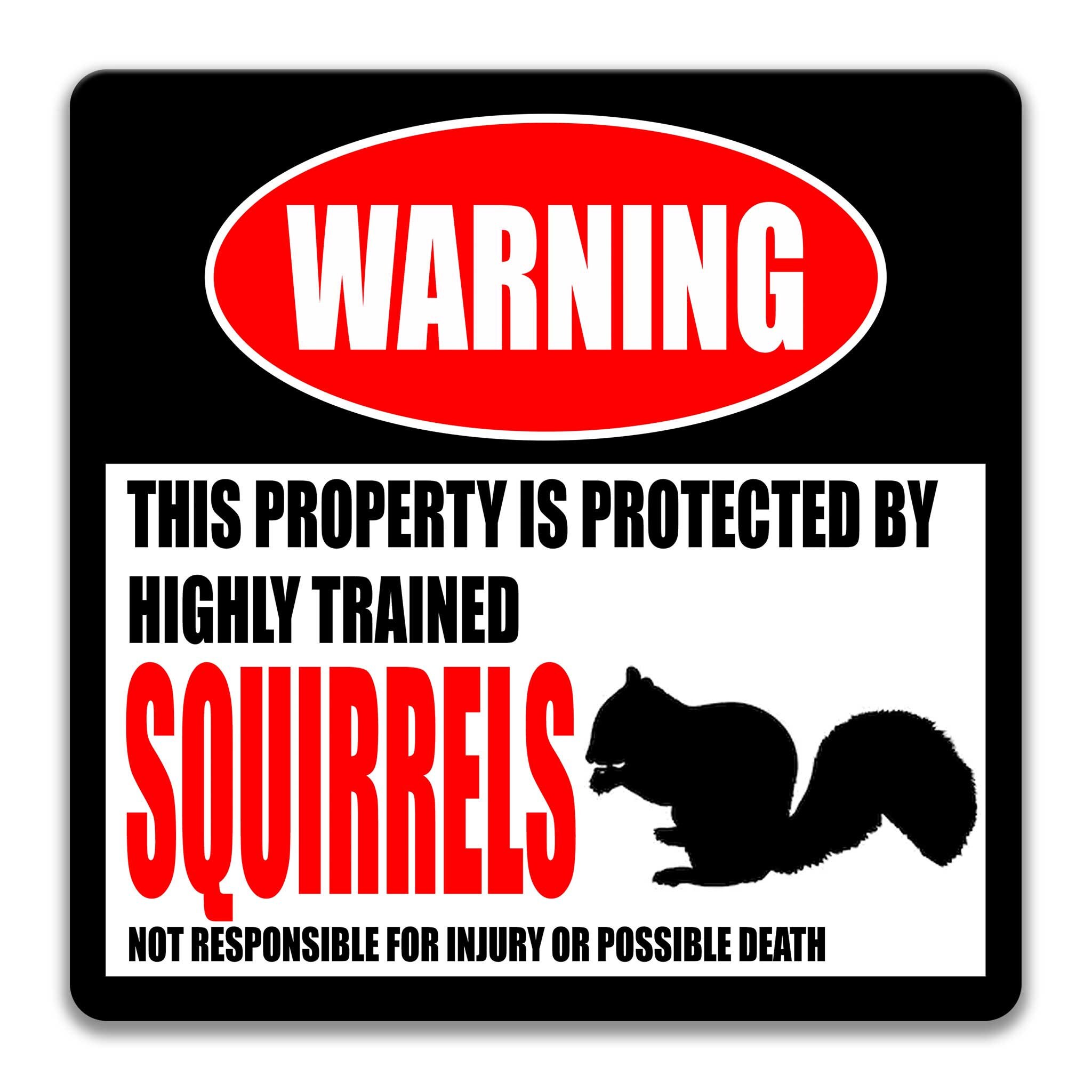Funny Squirrel Sign Protected by Squirrels Animal Decor Pet - Etsy