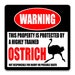Ostrich Sign Ostrich Warning Sign Funny Ostrich Sign Bird Coop Sign ...
