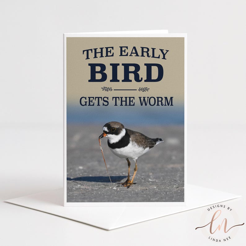 Funny Bird Card, Sarcastic Quote Note Card, Bird Lover Gift, 5x7 Blank ...