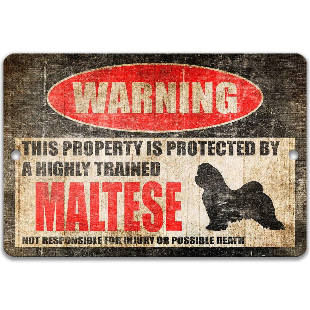 Funny Maltese Sign Maltese Dog Sign Dog Warning Sign Dog Mom Gift Dog ...