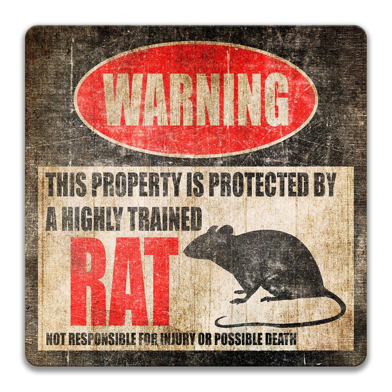Funny Rat Sign Protected by Rat Animal Decor Pet Rat Sign - Etsy