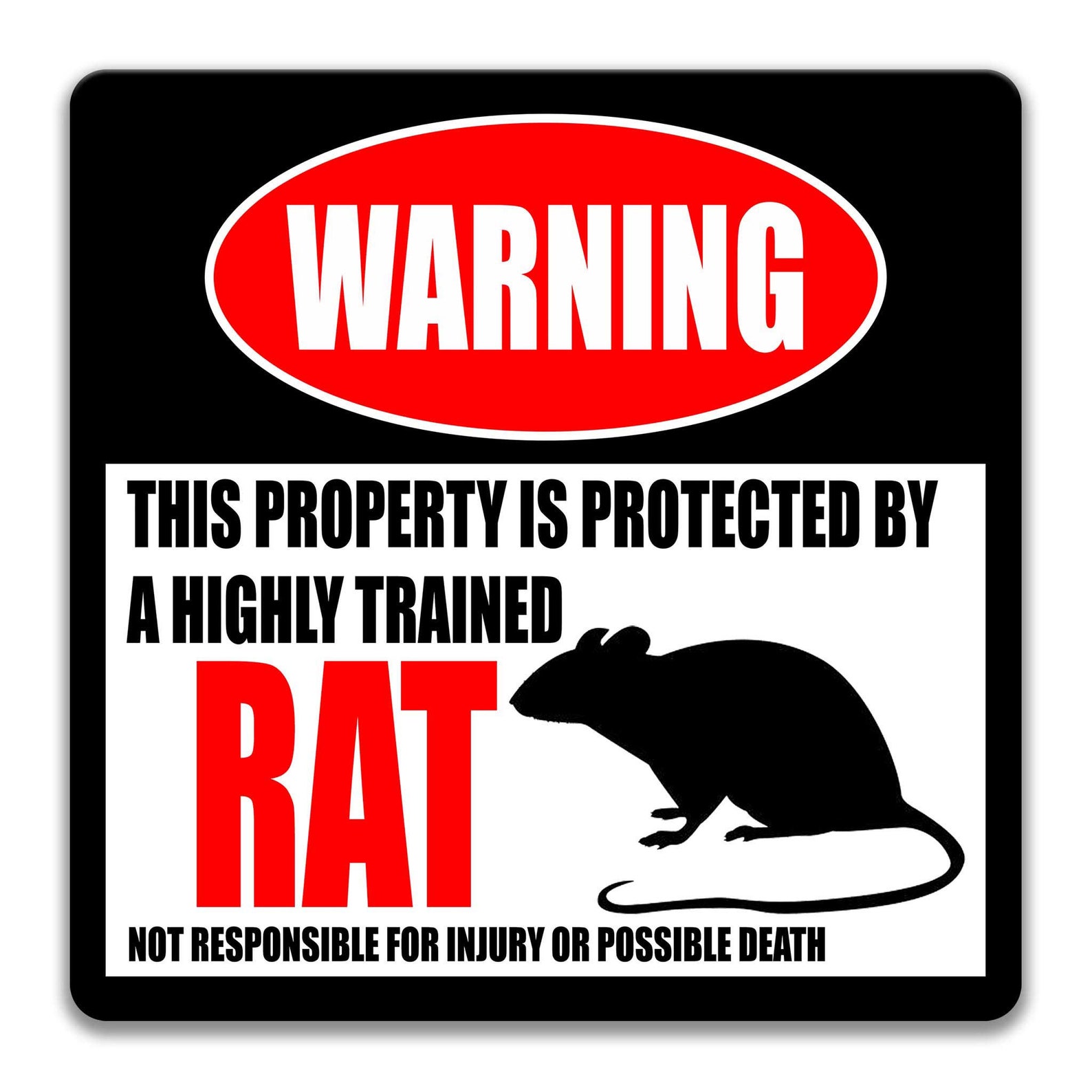 Funny Rat Sign Protected by Rat Animal Decor Pet Rat Sign - Etsy