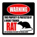 Funny Rat Sign, Protected by Rat Animal Decor Pet Rat Sign Rodent ...