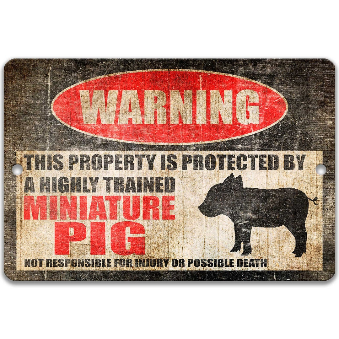Pig Sign Miniature Pig Warning Sign Funny Pig Sign Pig Barn Sign Yard ...