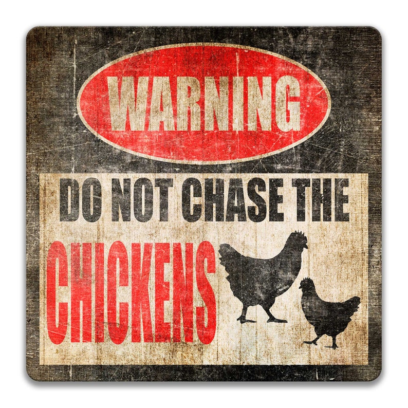 Chicken Sign Funny Chicken Sign Chicken Coop Sign Chicken - Etsy