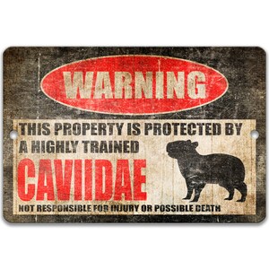 Funny Caviidae Warning Sign, Caviidae Decor, Caviidae Sign, Guinea Pig ...