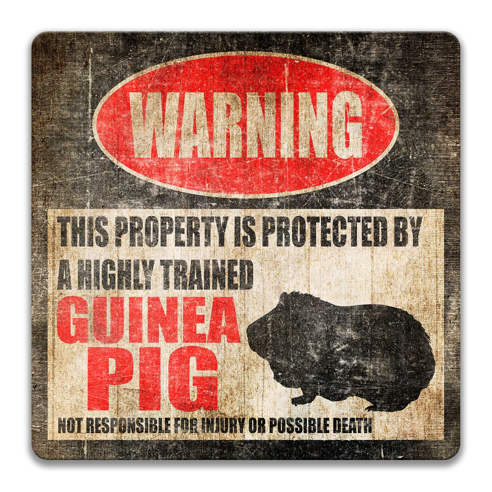 Guinea Pig Sign Funny Guinea Pig Decor Guinea Pig Accessories Guinea ...