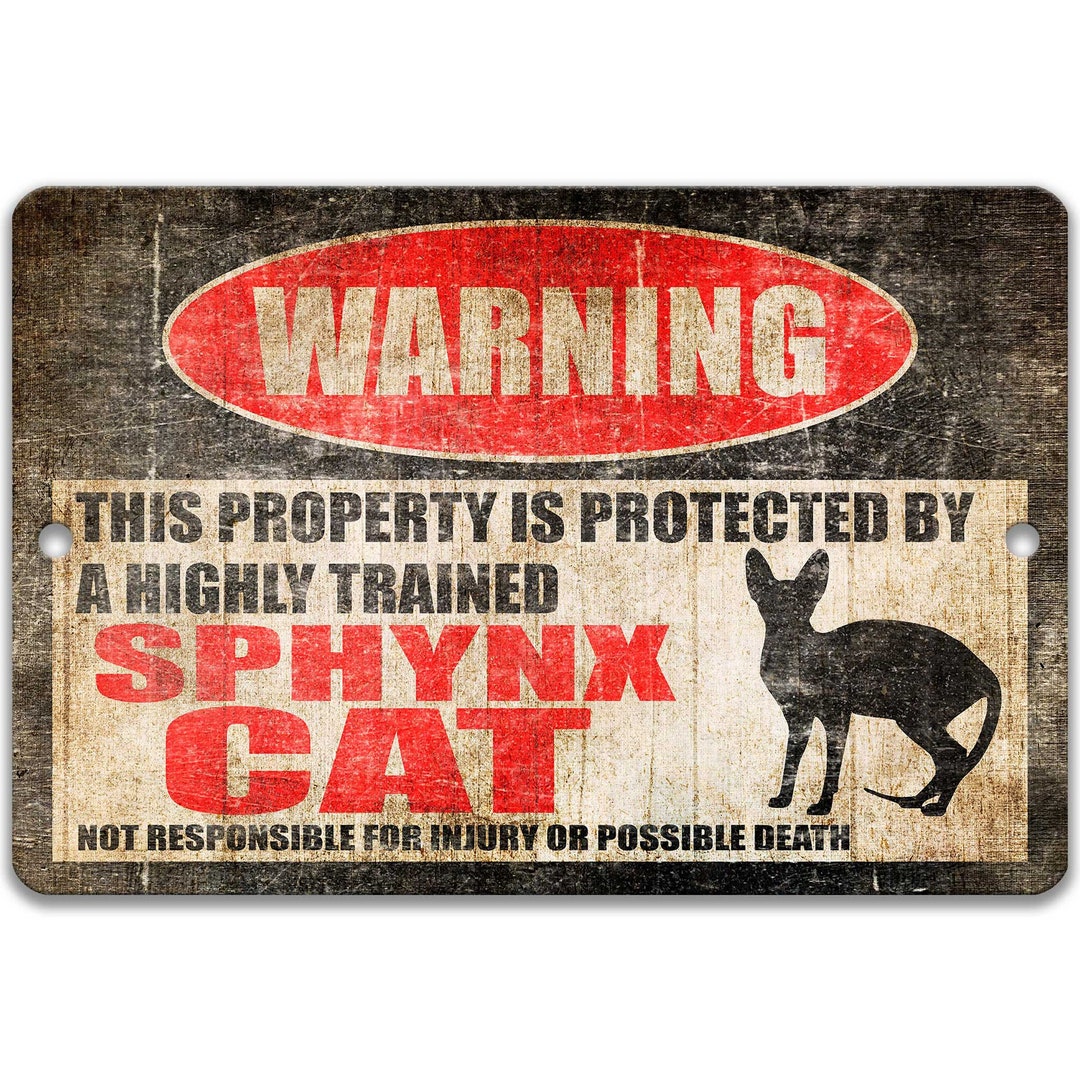 Funny Sphynx Cat Sign Cat Warning Sign Cat Novelty Sign Cat Decor Cat ...