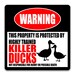 Funny Duck Sign Ducks Sign Duck Warning Sign Duck Coop Sign Duck Decor ...