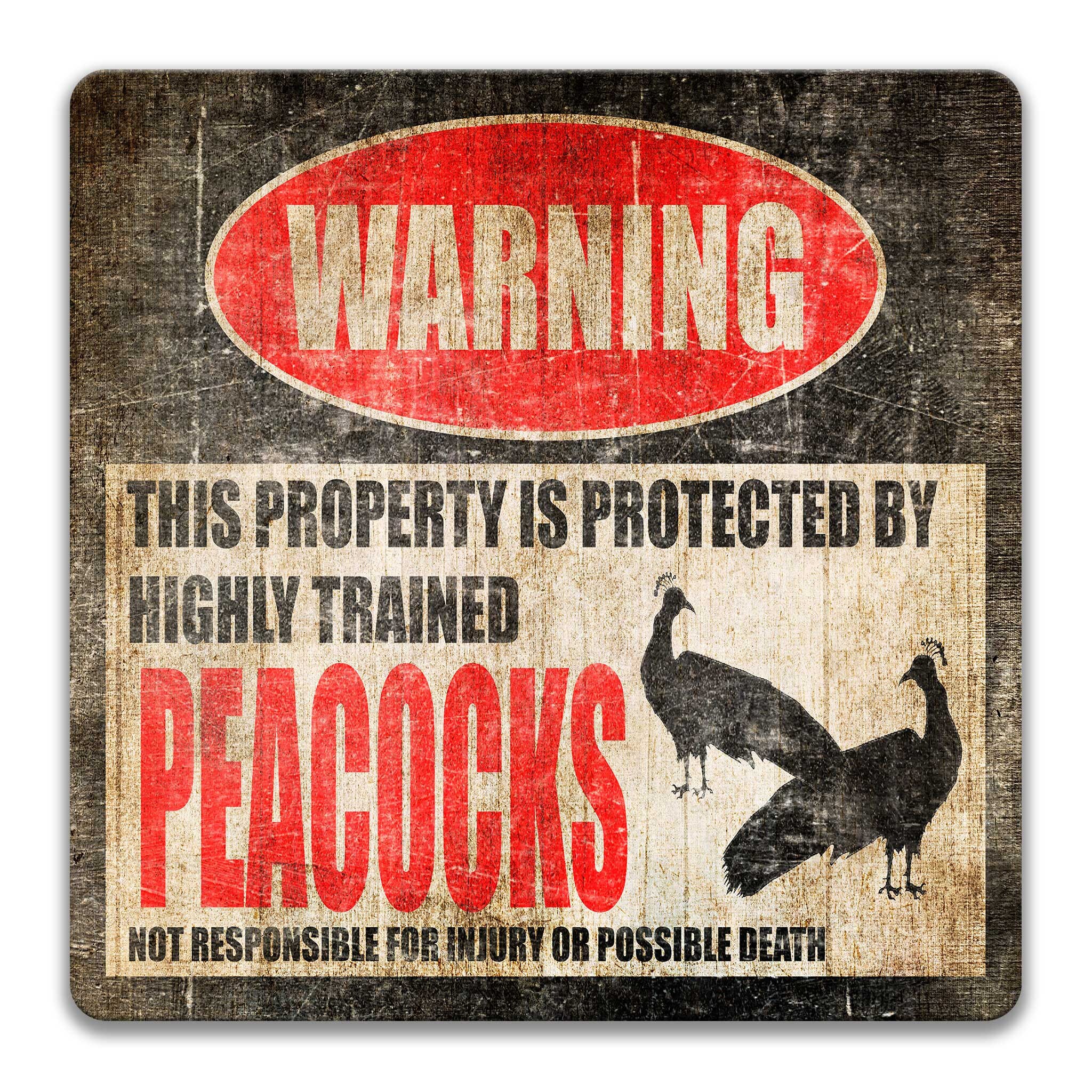 Peacocks Sign Funny Peacocks Sign Farm Sign Peacock Decor Barn - Etsy