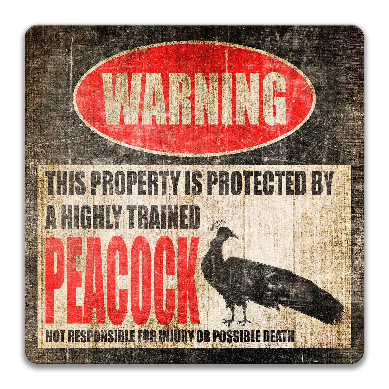 Funny Peacock Metal Sign, Highly Trained Bird Warning Decor - Etsy