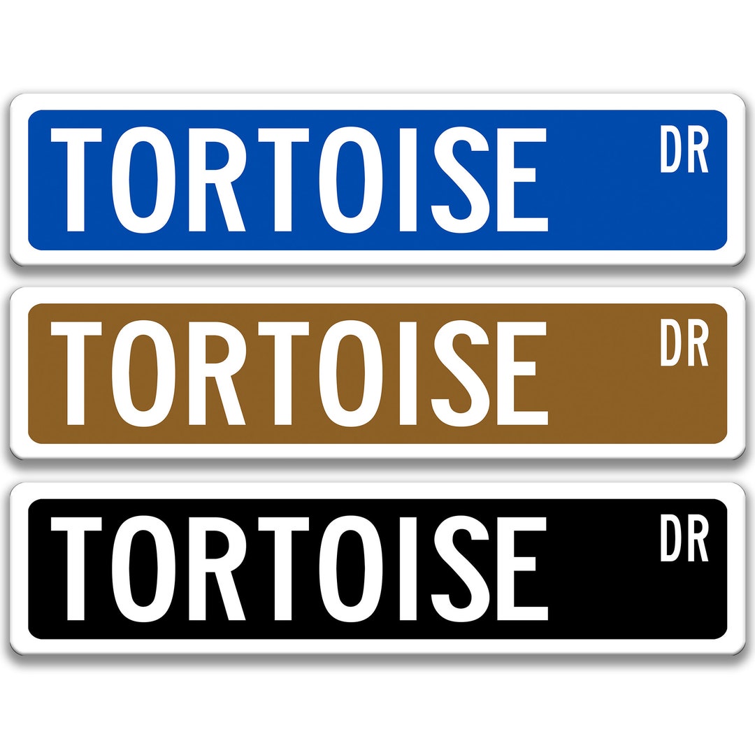 Tortoise Sign, Tortoise Decor, Tortoise Gift, Tortoise Lover Gift ...