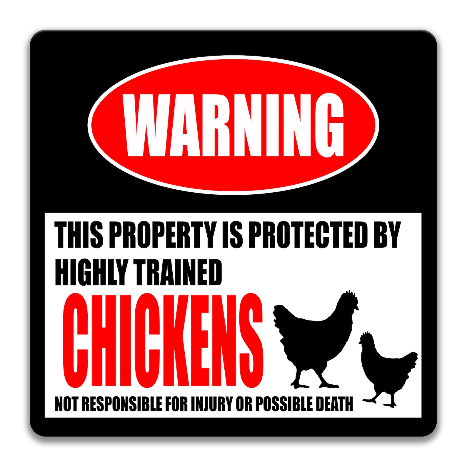 Chicken Sign Funny Chicken Sign Chicken Coop Sign Chicken Decor Barn ...