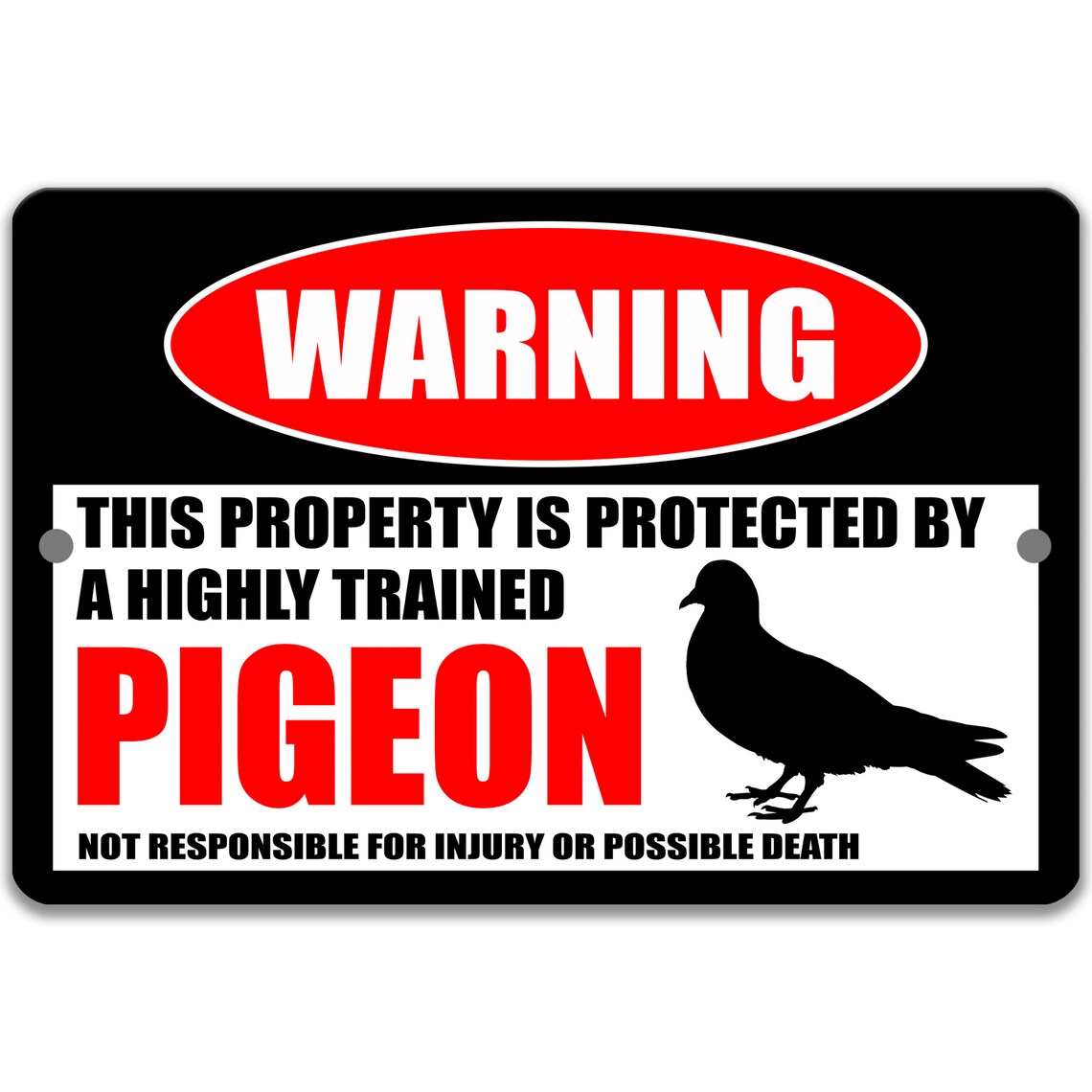 Funny Pigeon Sign, Pigeon Warning Sign, No Trespassing Sign, Funny ...