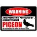 Funny Pigeon Sign Pigeon Warning Sign No Trespassing Sign - Etsy