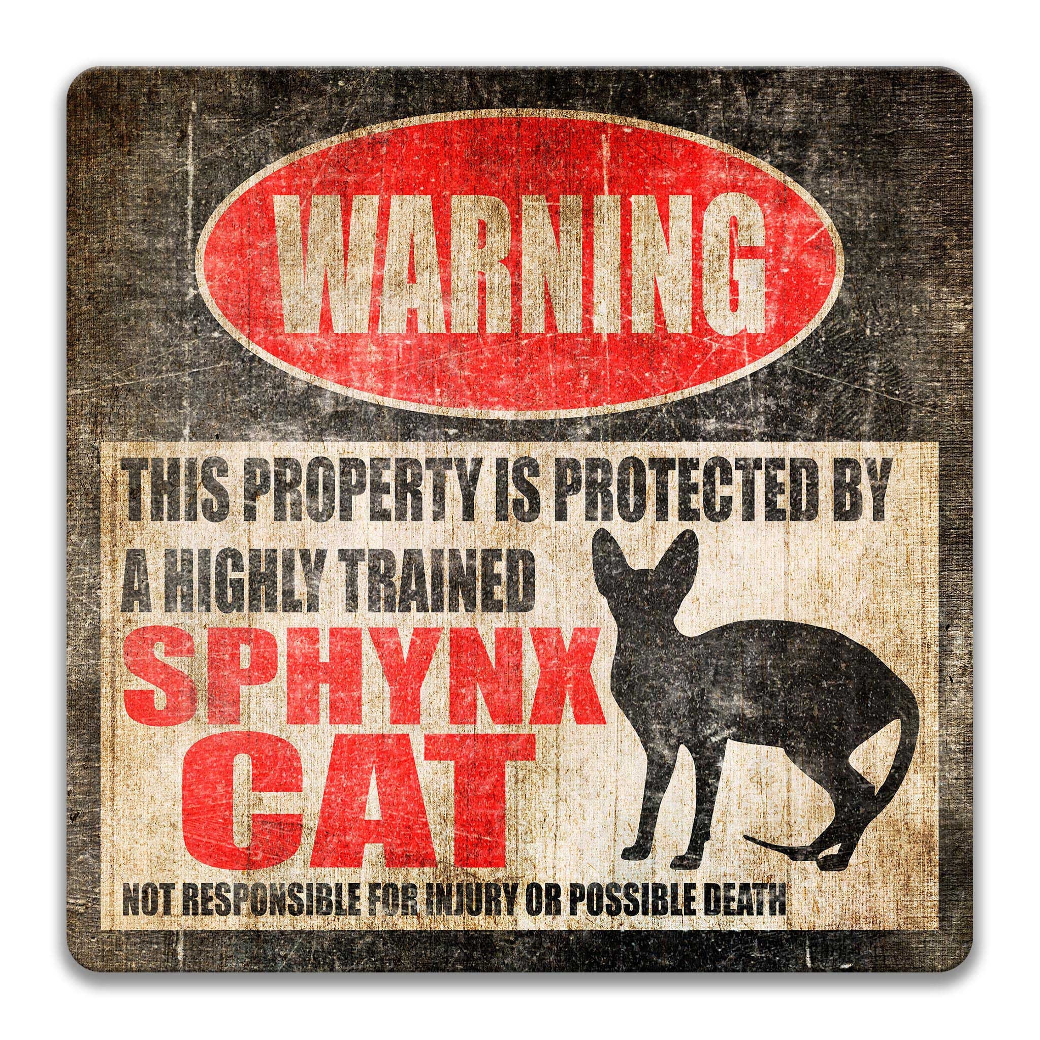 Funny Sphynx Cat Sign Cat Warning Sign Cat Novelty Sign Cat - Etsy