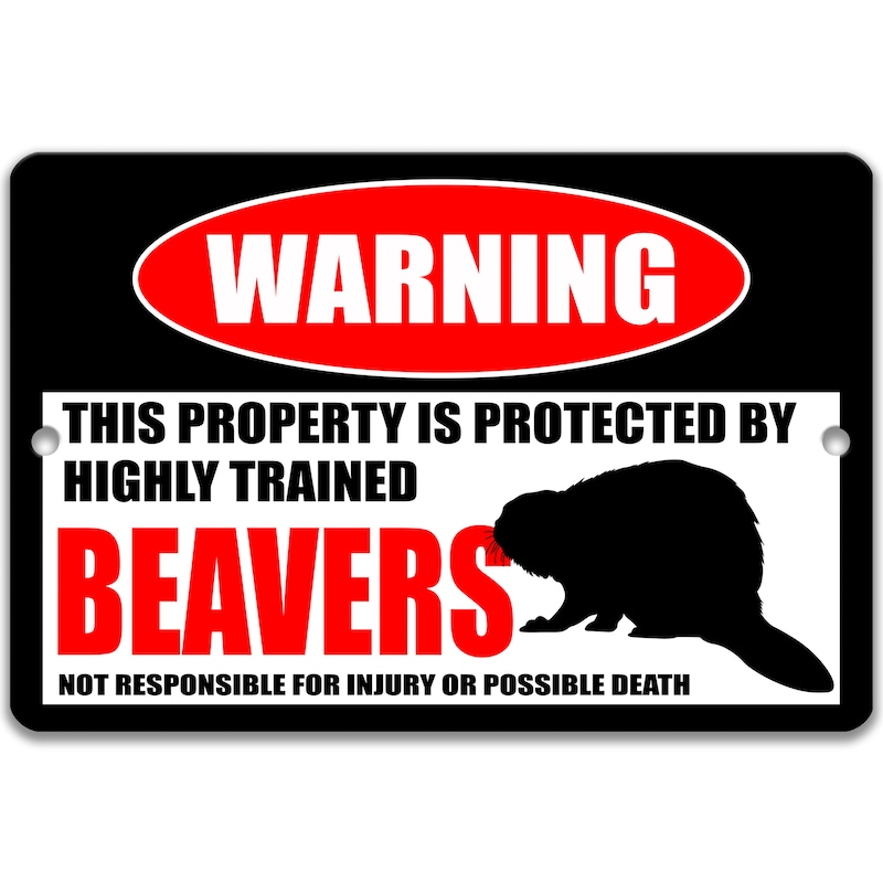 Beaver Lake - Etsy