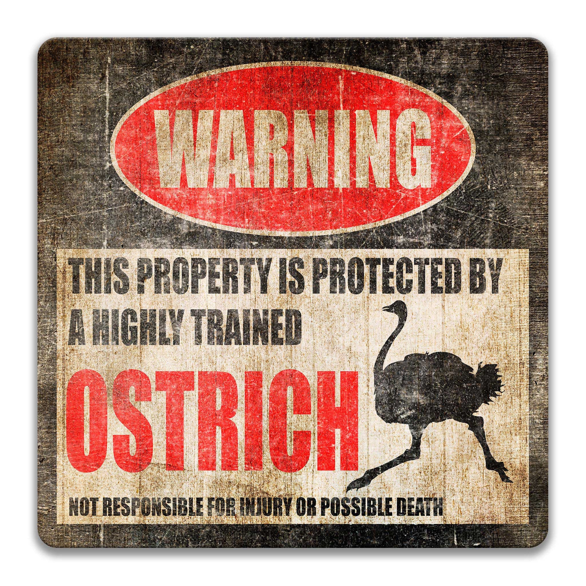 Ostrich Sign Ostrich Warning Sign Funny Ostrich Sign Bird Coop Sign ...