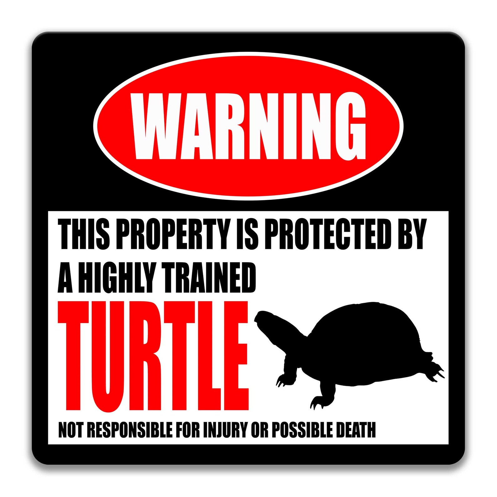 Turtle Sign Reptile Sign Turtle Accessories Funny Turtle - Etsy