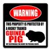 Guinea Pig Sign Funny Guinea Pig Decor Guinea Pig Accessories Guinea ...