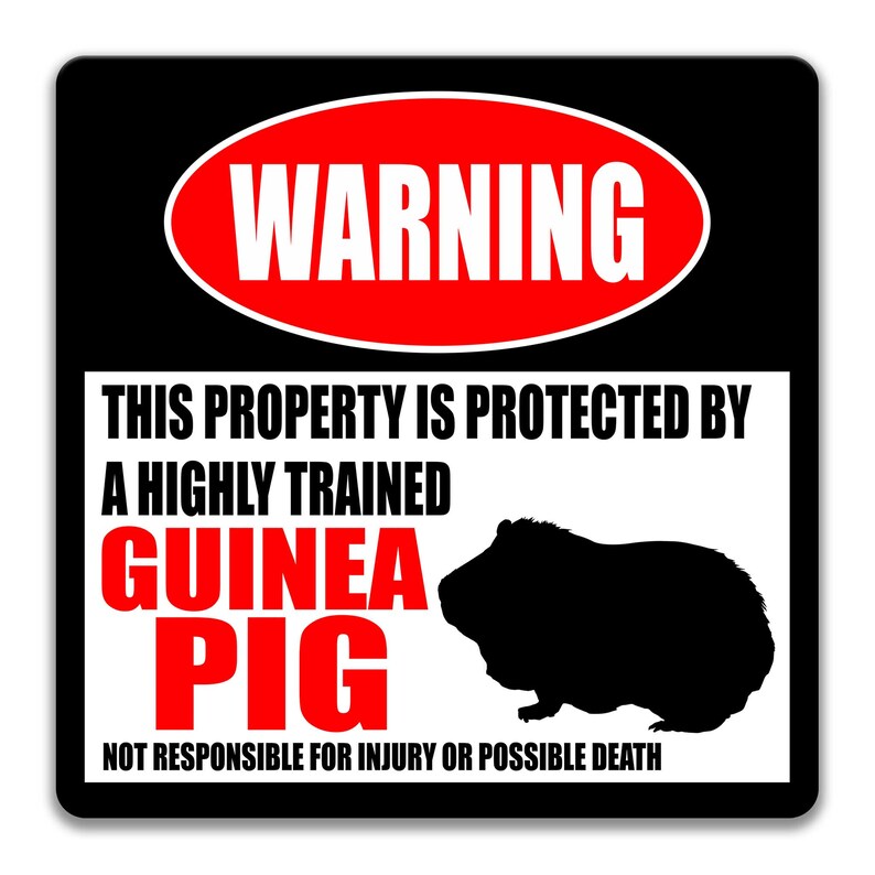 Guinea Pig Sign Funny Guinea Pig Decor Guinea Pig Accessories Guinea ...