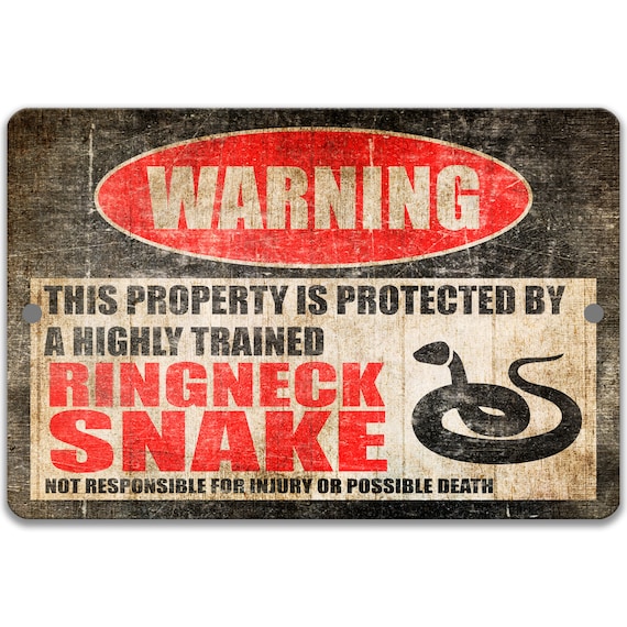 Ringneck Snake As A Pet