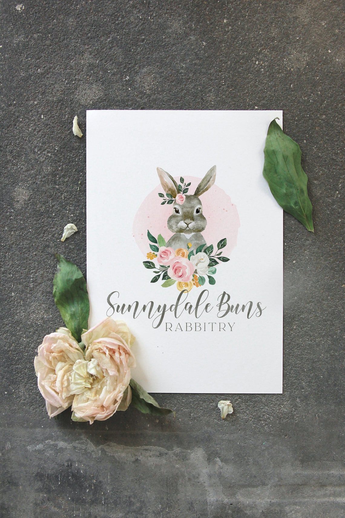 Bunny Logo Rabbit Logo Rabbitry Logo Pet Logo Animal - Etsy