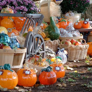 Beautiful Transparent Orange Pumpkin- A Classic Small Pumpkin Handmade ...