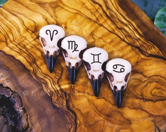 Crow Skull With Custom Rune Necklace Resin Replica Hand | Etsy