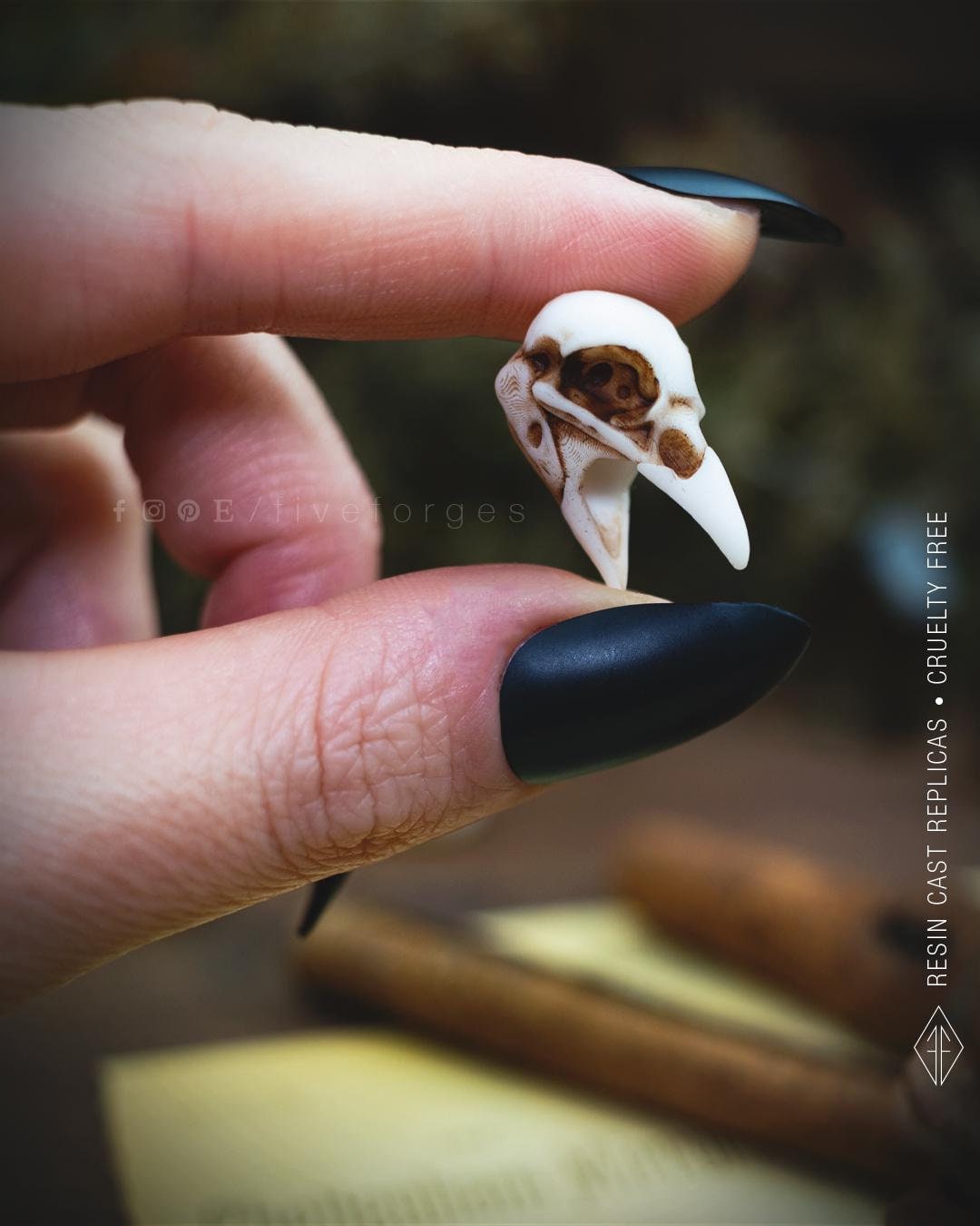 Crow Skull Bead for Dreadlocks Hair Braiding and Beard, Resin Replica ...