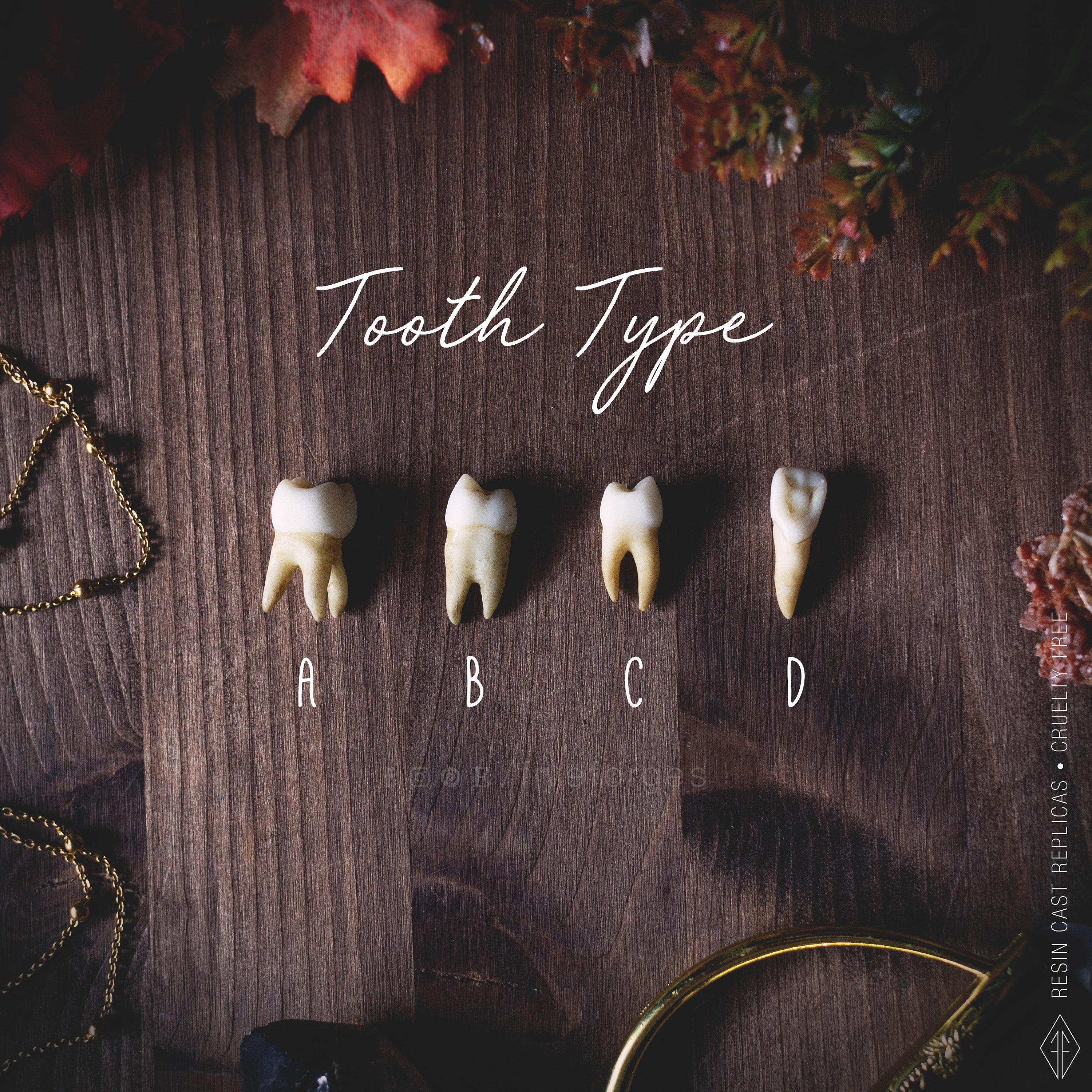 Human Teeth Beads Oddities and Curiosities, Resin Replica Hand Painted ...
