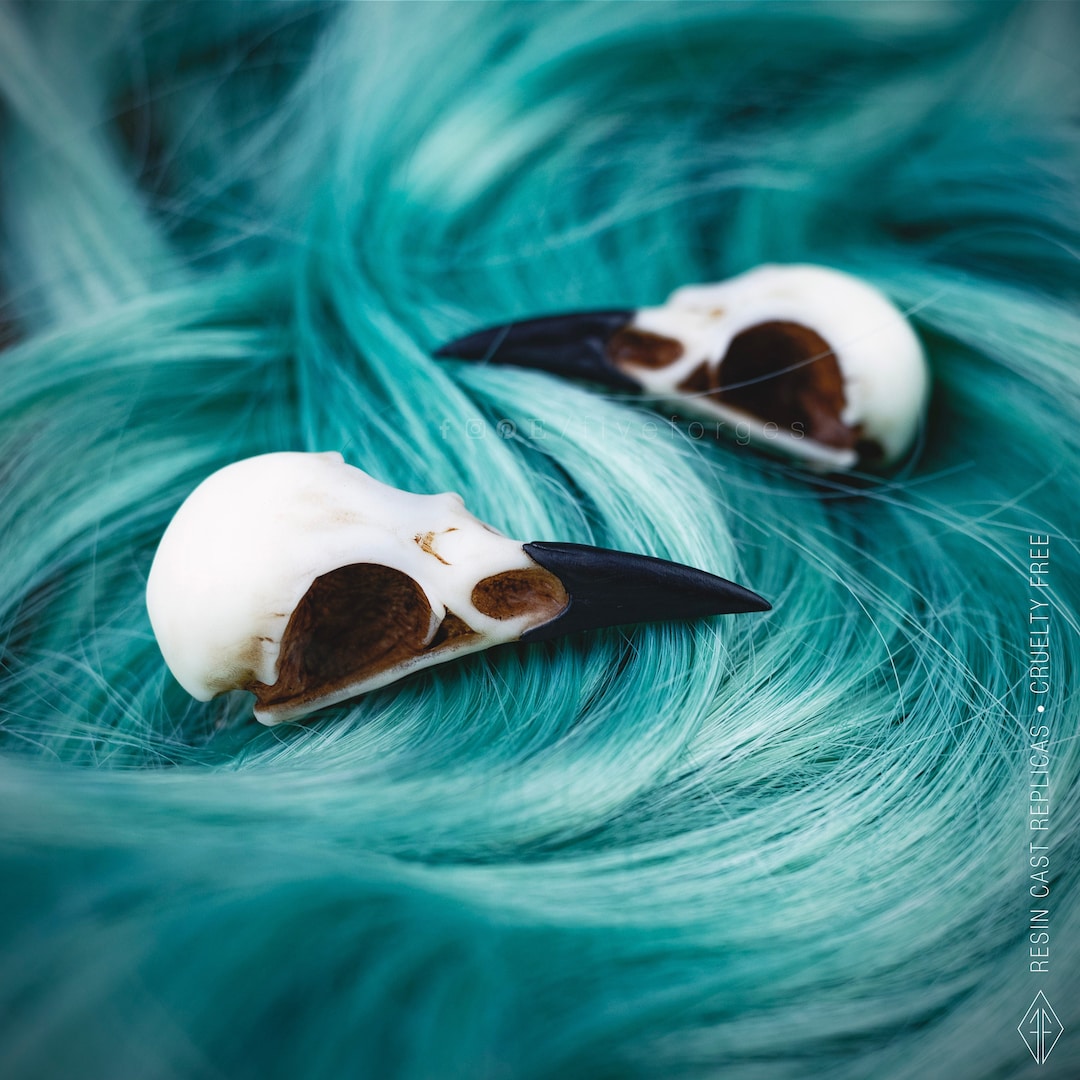 Crow Skull Hair Clip, Resin Replica Hand Painted, Dark Viking Gothic ...