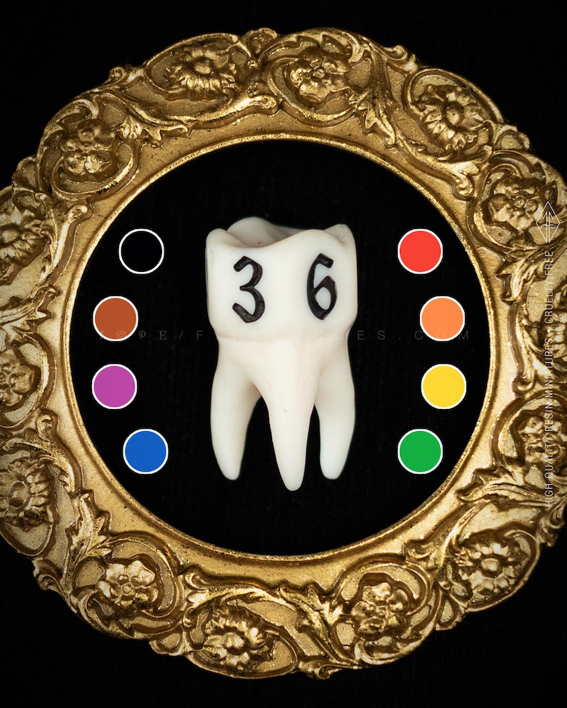 Realistic Molar Tooth D6 Dice, Resin Necromancer Dice for RPG, Horror ...