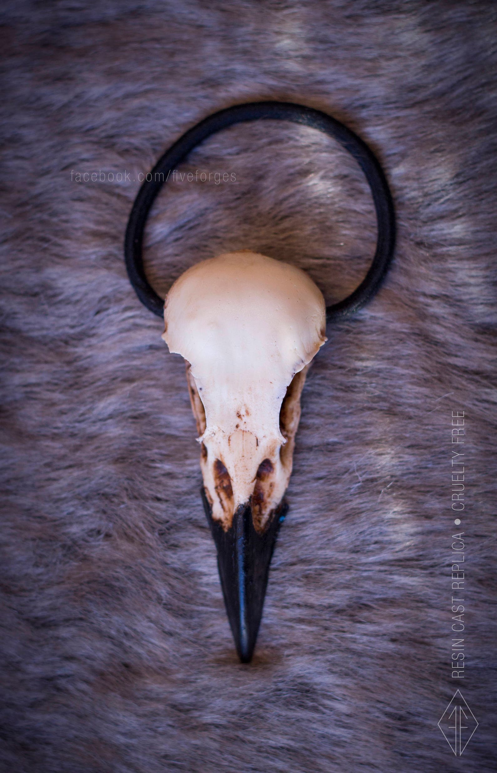 Crow Skull Elastic Headband, Resin Replica Hand Painted, Tribal Gothic ...