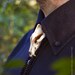 Wolf Skull Bolo Tie, Resin Replica Hand Painted, Gothic Steampunk Texan ...