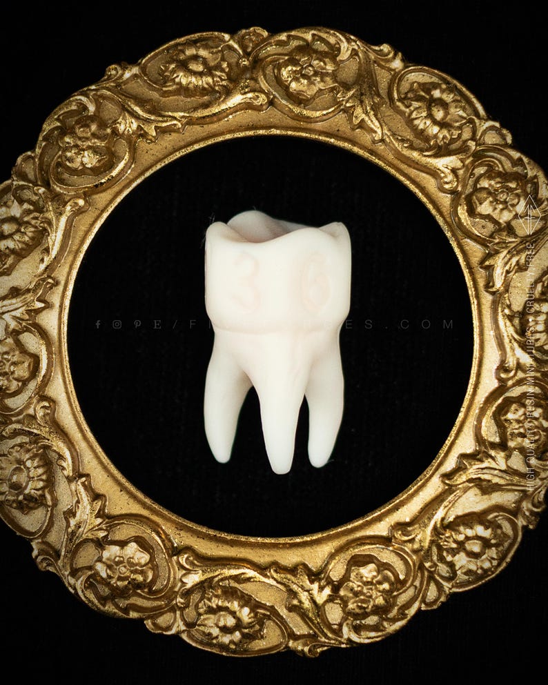 Realistic Molar Tooth D6 Dice, Resin Necromancer Dice for RPG, Horror ...