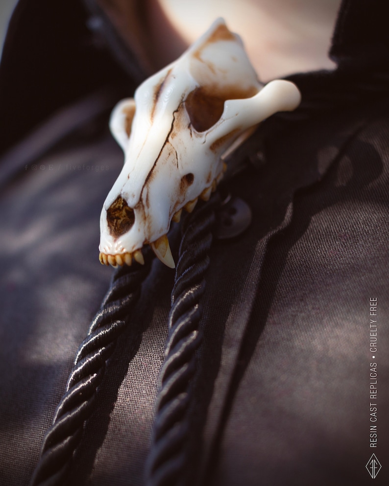 Wolf Skull Bolo Tie, Resin Replica Hand Painted, Gothic Steampunk Texan ...
