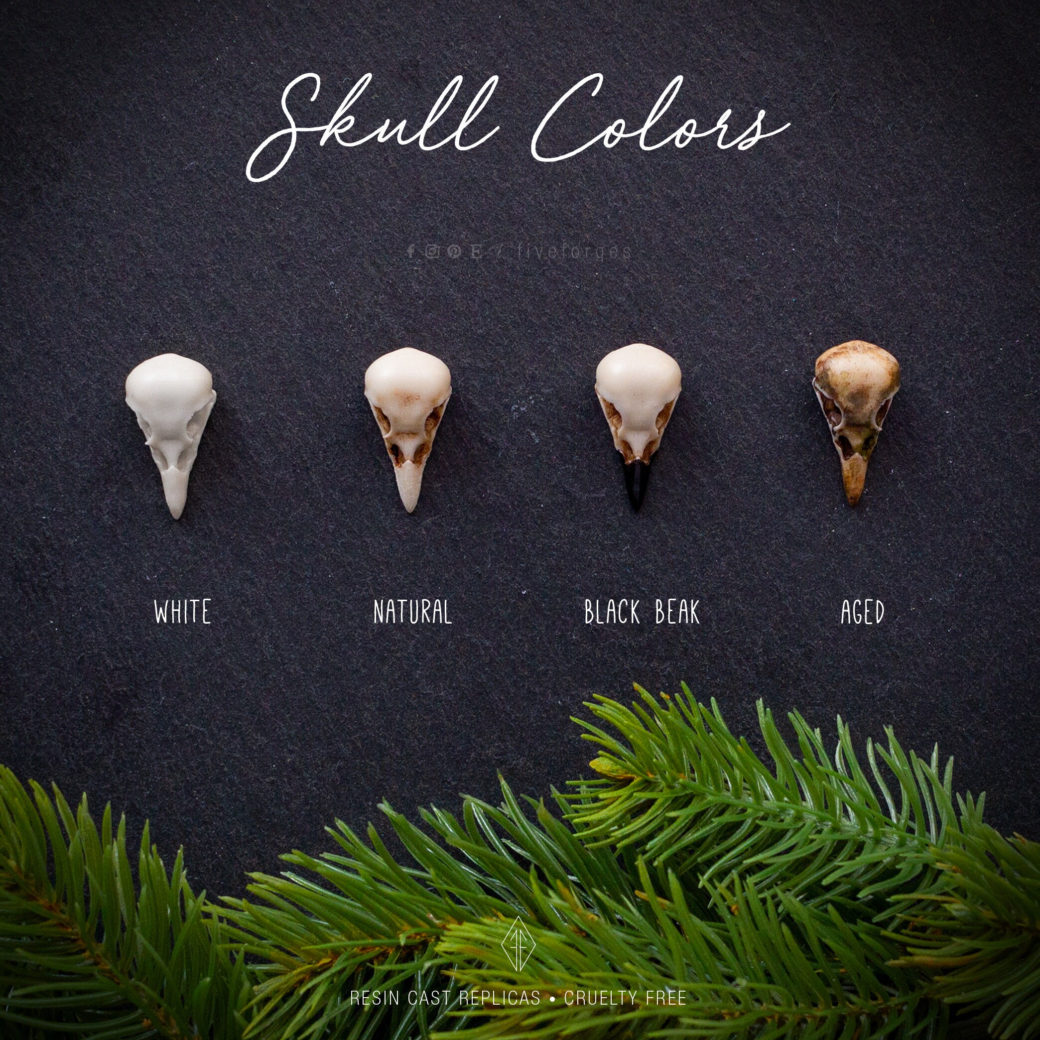 Crow Skull With Custom Rune Necklace Resin Replica Hand | Etsy